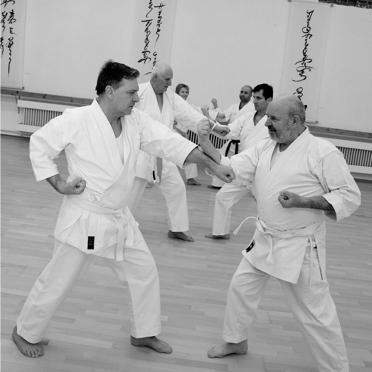 The fight against joint rust – FT-KARATE
