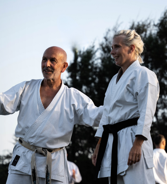 Karate | Shotokan | Karate-Bücher | Karate-Poster | by Fiore Tartaglia ...